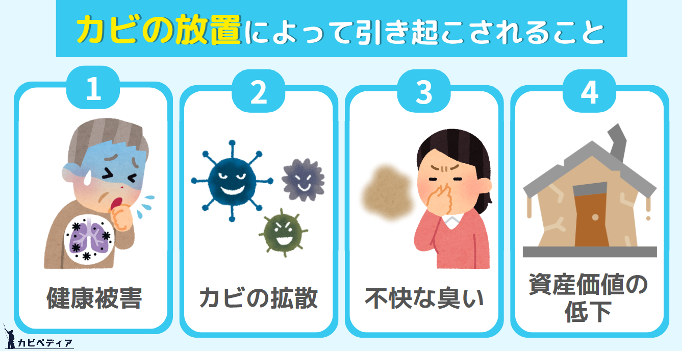 【2025年版】カビ取り業者の費用相場｜間取り・場所別の料金比較＆選び方