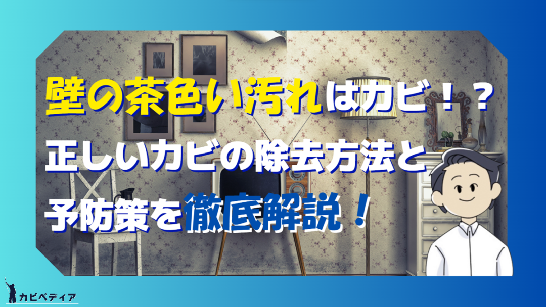 壁の茶色い汚れはカビ！？正しいカビの除去方法と予防策を徹底解説！
